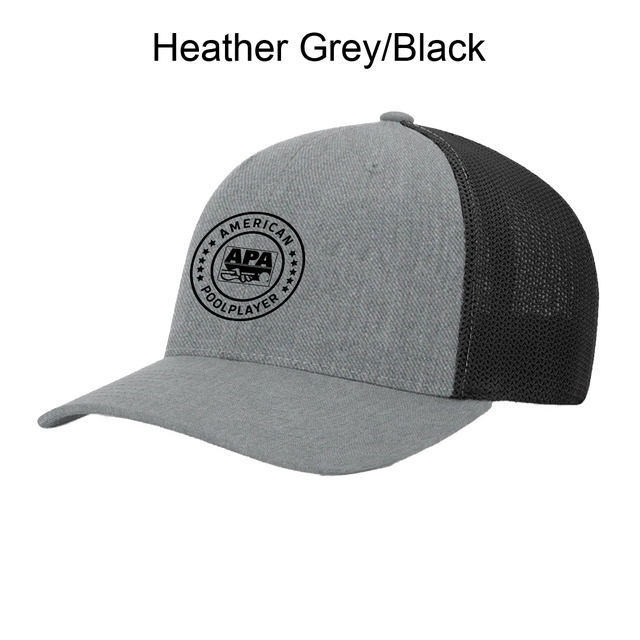 American Poolplayers Association